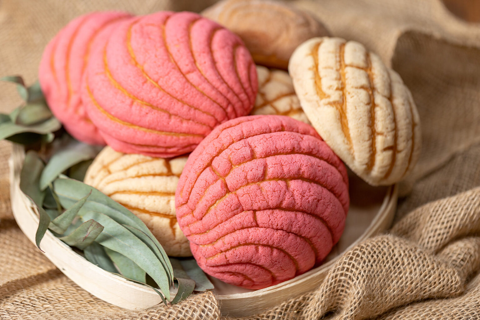 Pink Tia Maria Concha 3-Pack - Costeaux